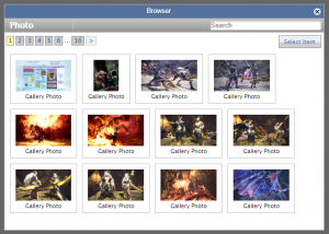 Asset Manager – ONEsite Developers